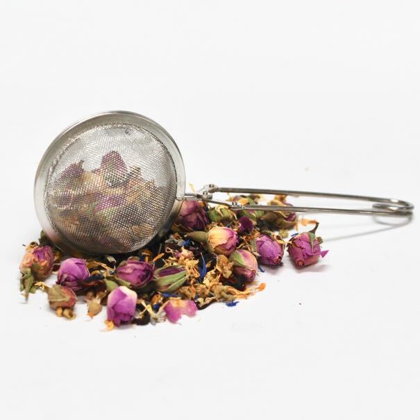 Stainless Steel Spring Handle Mesh Ball Infuser